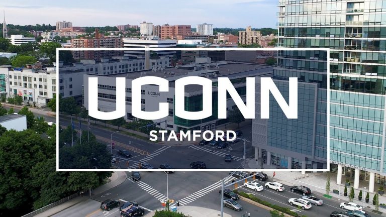 Stamford | Undergraduate Advising | College of Engineering | University ...