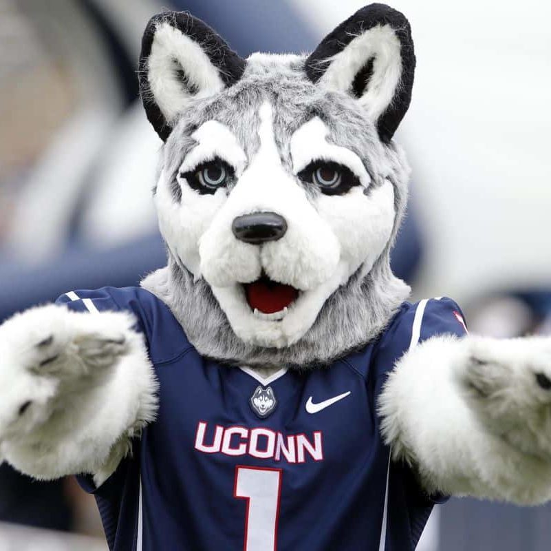 UConn Admissions | Undergraduate Advising