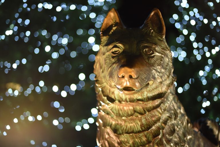 Engineering Admissions | Undergraduate Advising