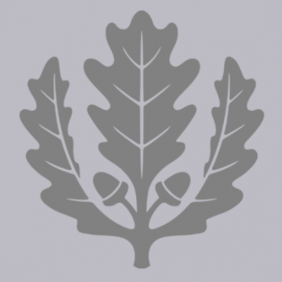 Peer Advisors | Undergraduate Advising