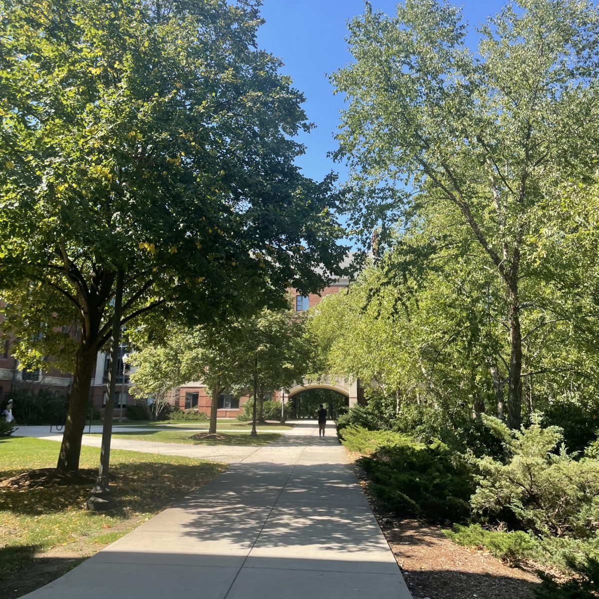 New to Storrs | Undergraduate Advising | College of Engineering ...