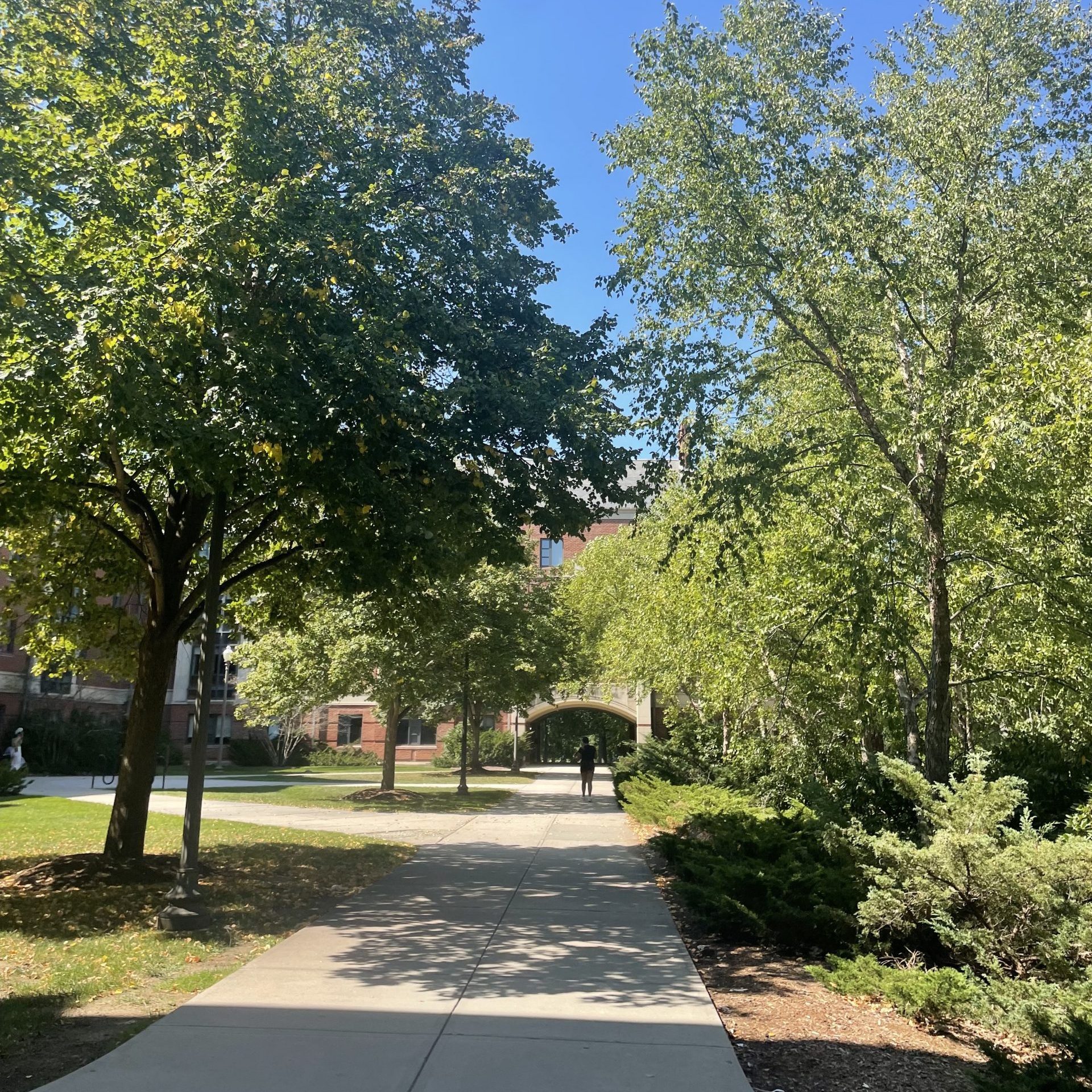 New to Storrs | Undergraduate Advising | College of Engineering ...